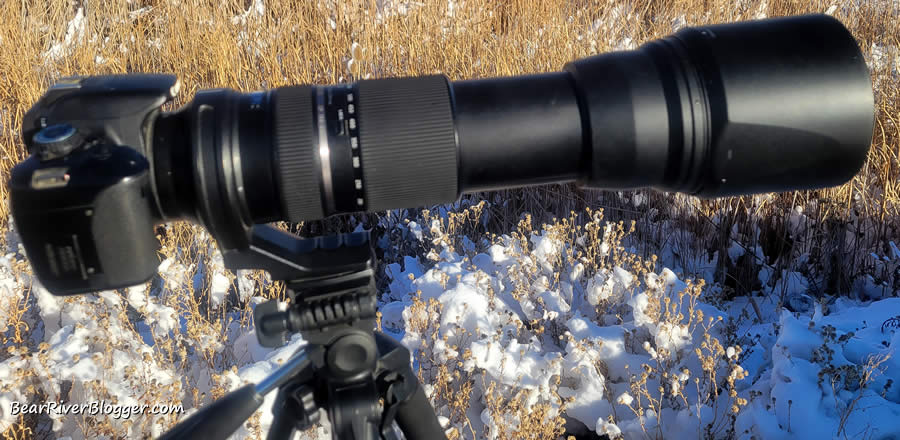 Tamron 150-600 mm Camera Lens – Bear River Blogger