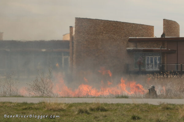 It Sounds Counterintuitive But Burning Wetlands Can Actually Help Birds ...